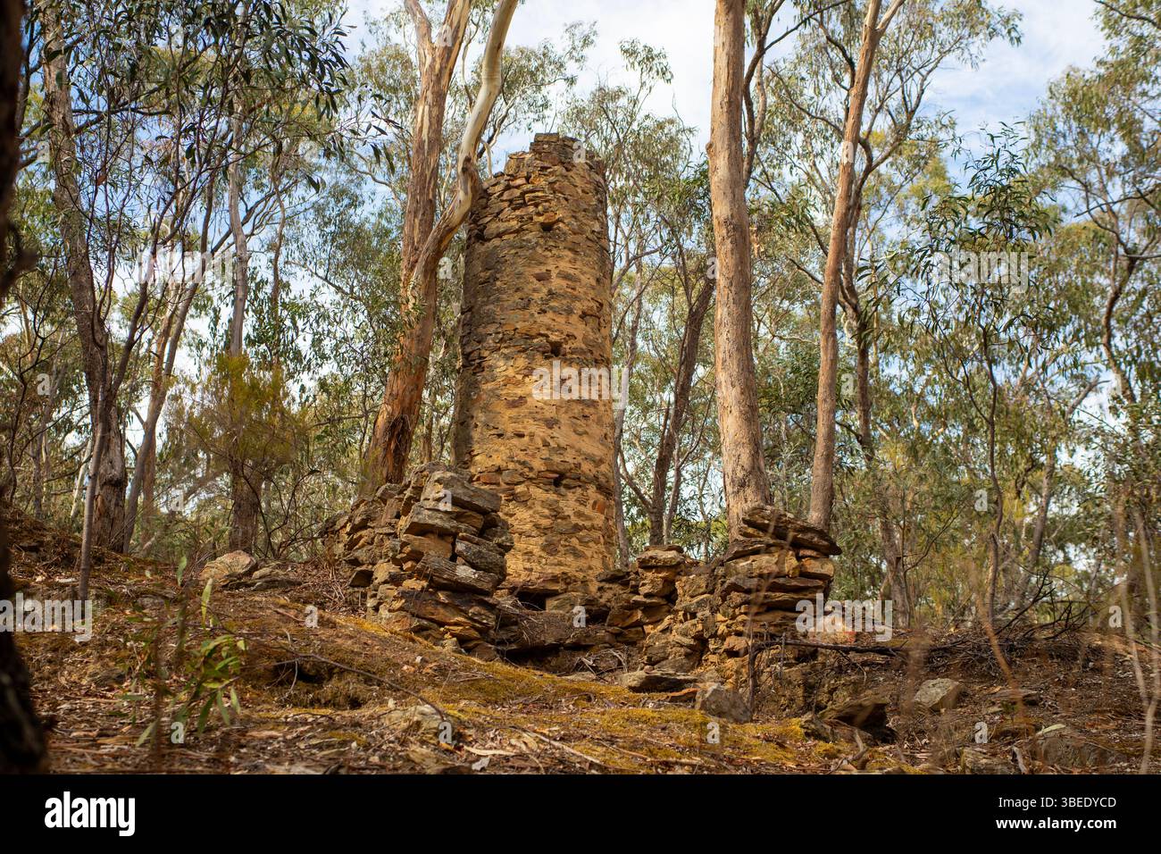 Old gold mining Chimney relic in Chewton near Castlemaine Victoria ...