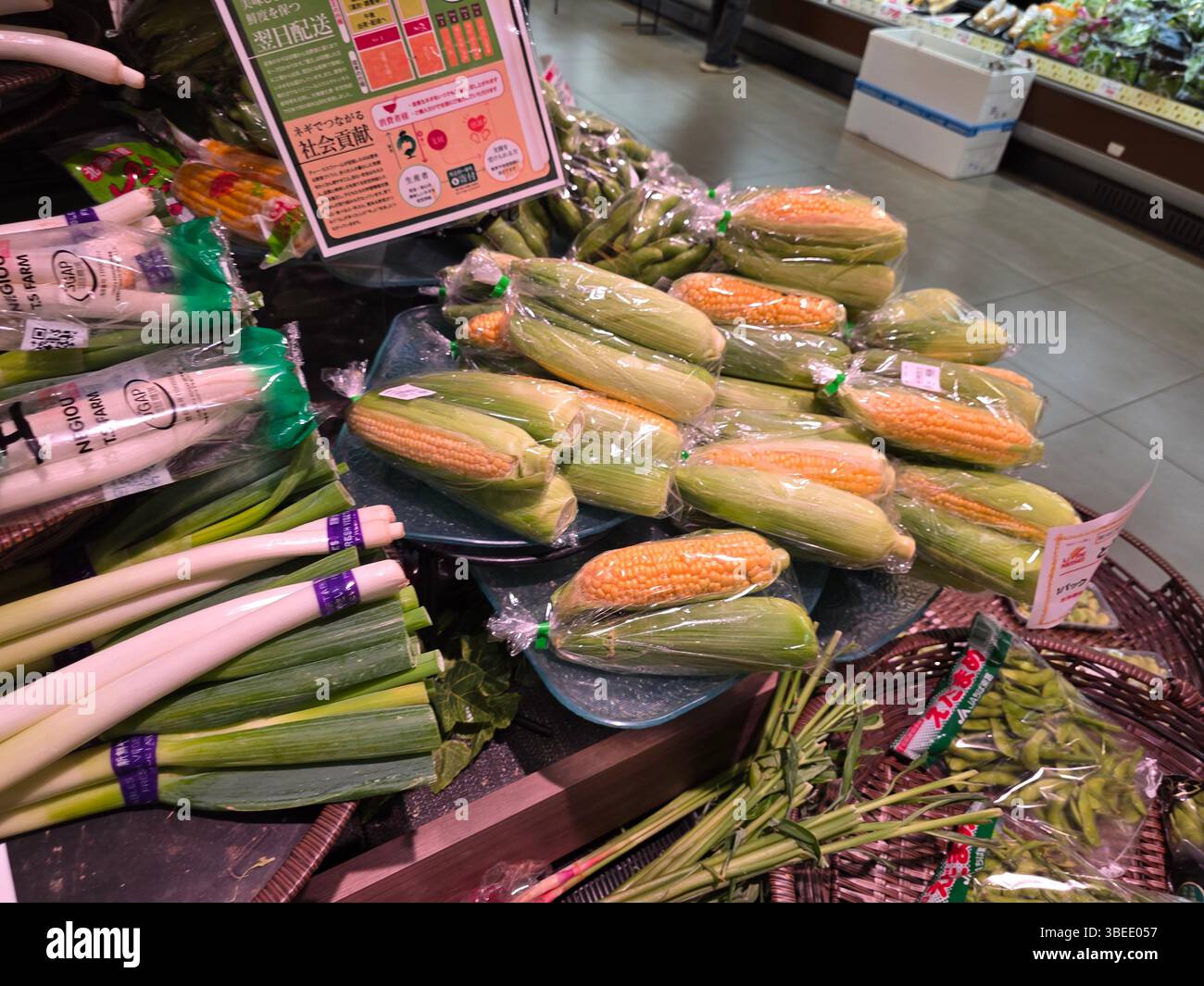 Inside of Elm Shopping Grocery Store Stock Photo - Alamy