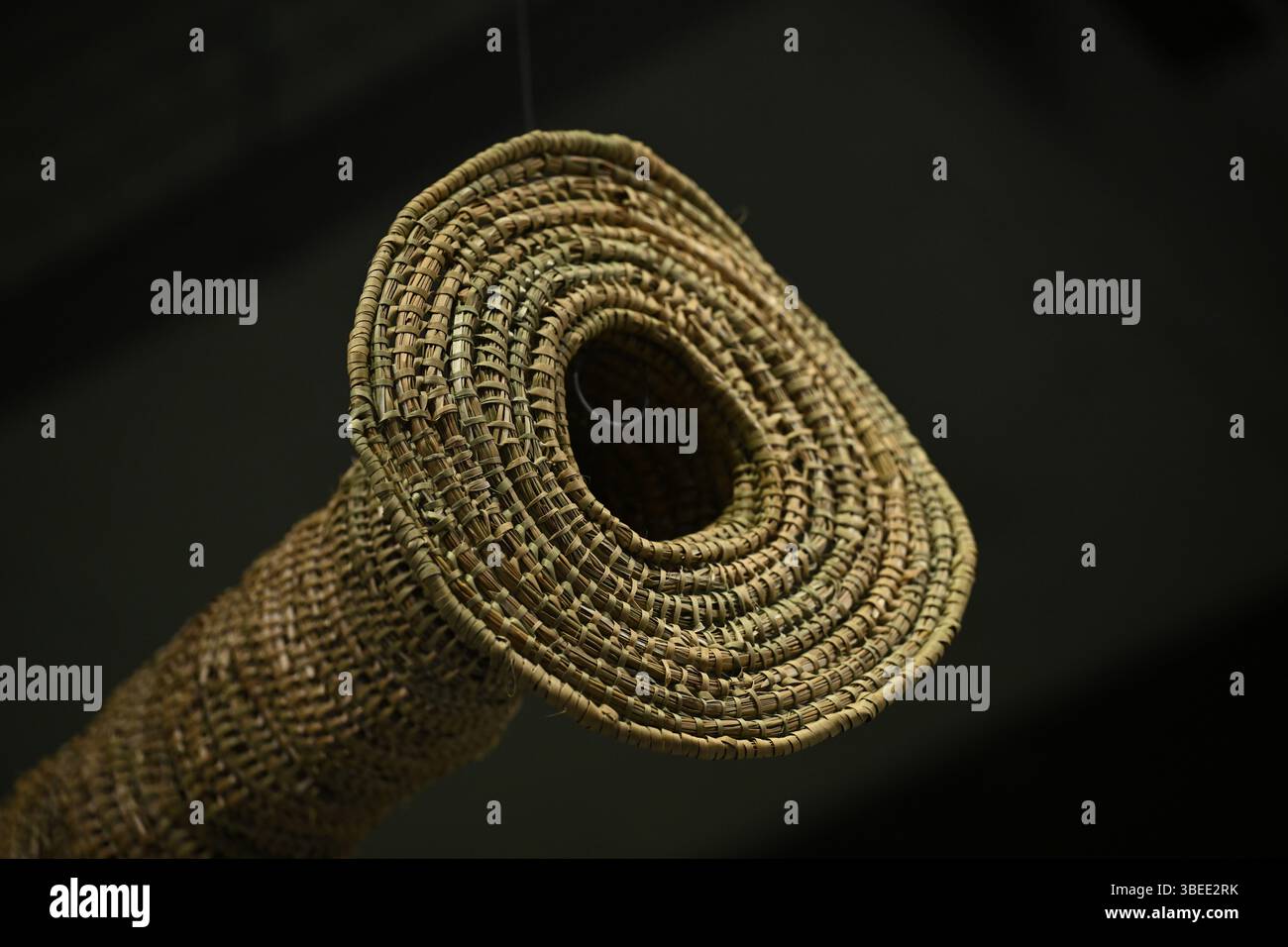 Melbourne, Australia. 29th May, 2025. Artwork by artist Sandra Aitken ...