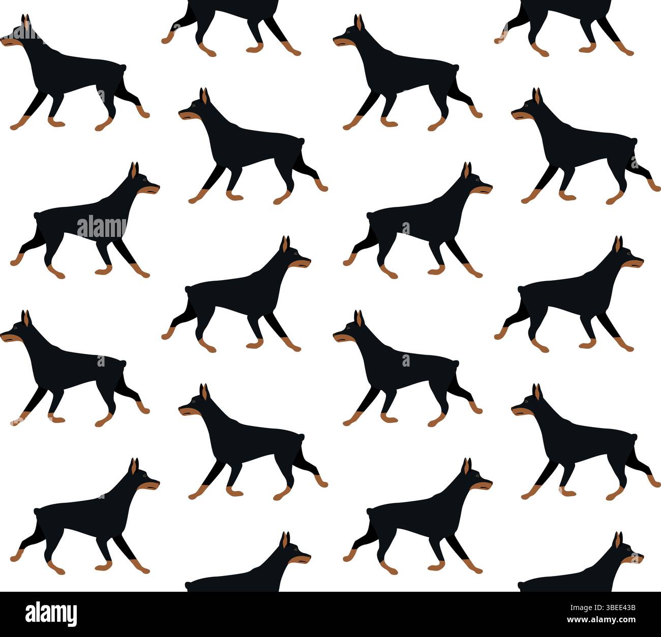 Dobermann training Stock Vector Images - Alamy
