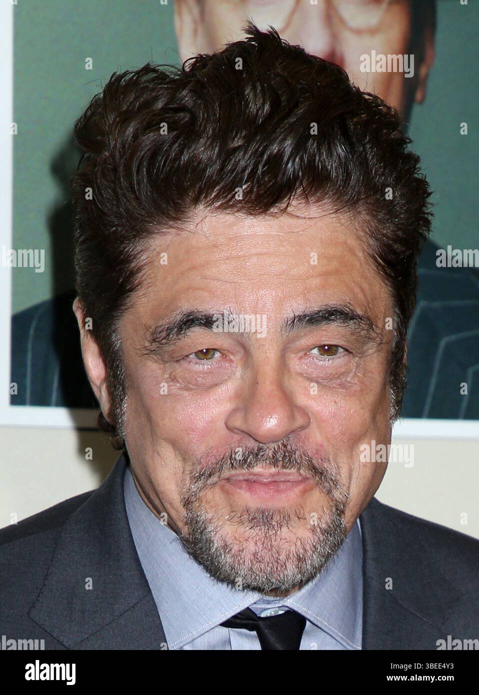 New York City, USA. 28th May, 2025. Benicio del Toro attending 'The ...