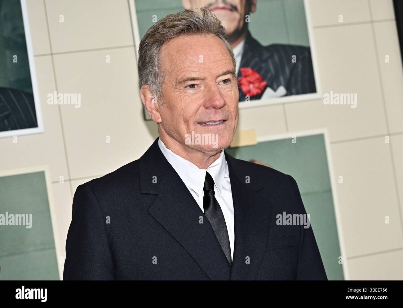 Bryan Cranston attends the Focus Features' premiere of "The Phoenician ...