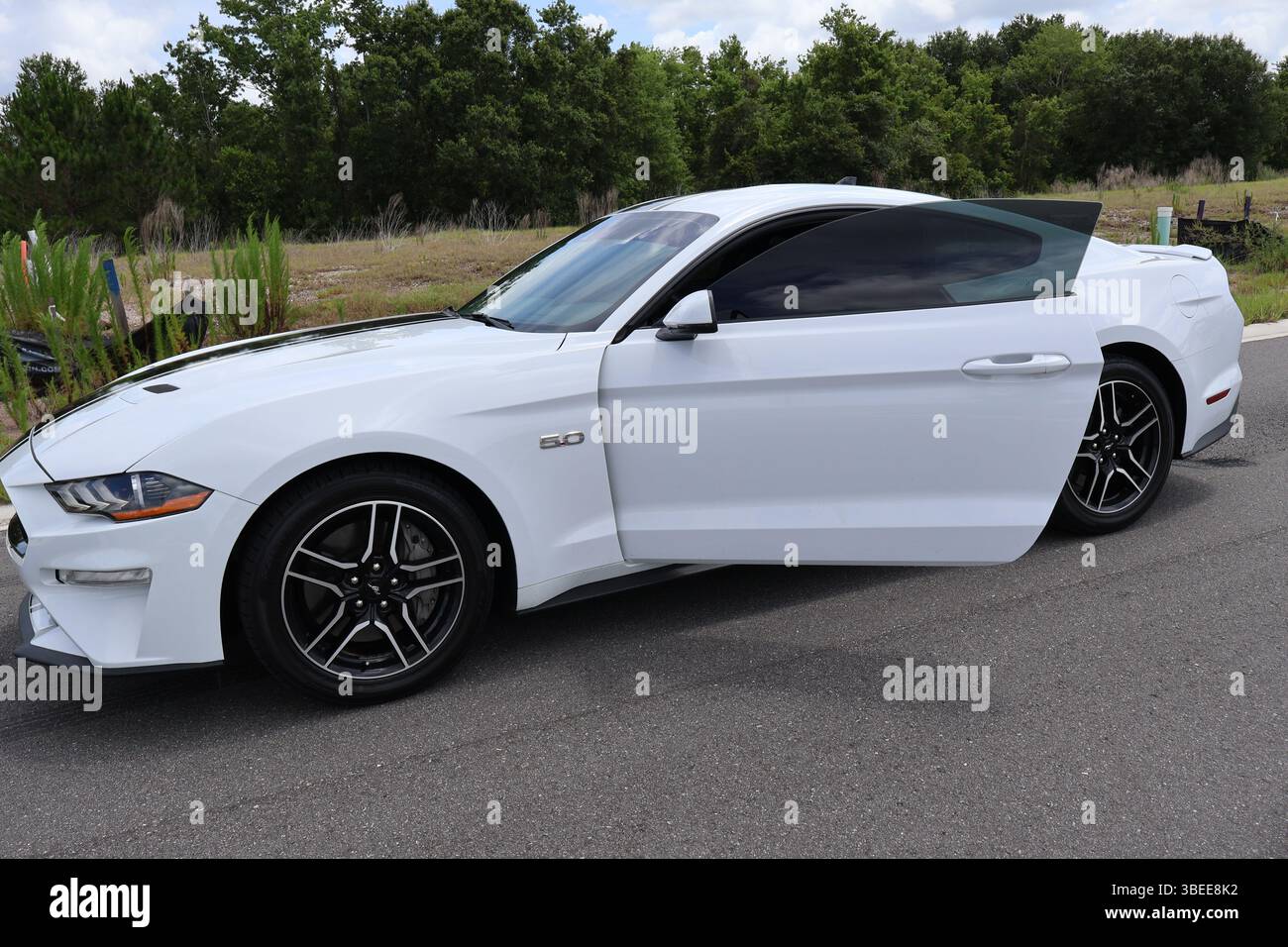 Ford mustang 2023 hi-res stock photography and images - Alamy