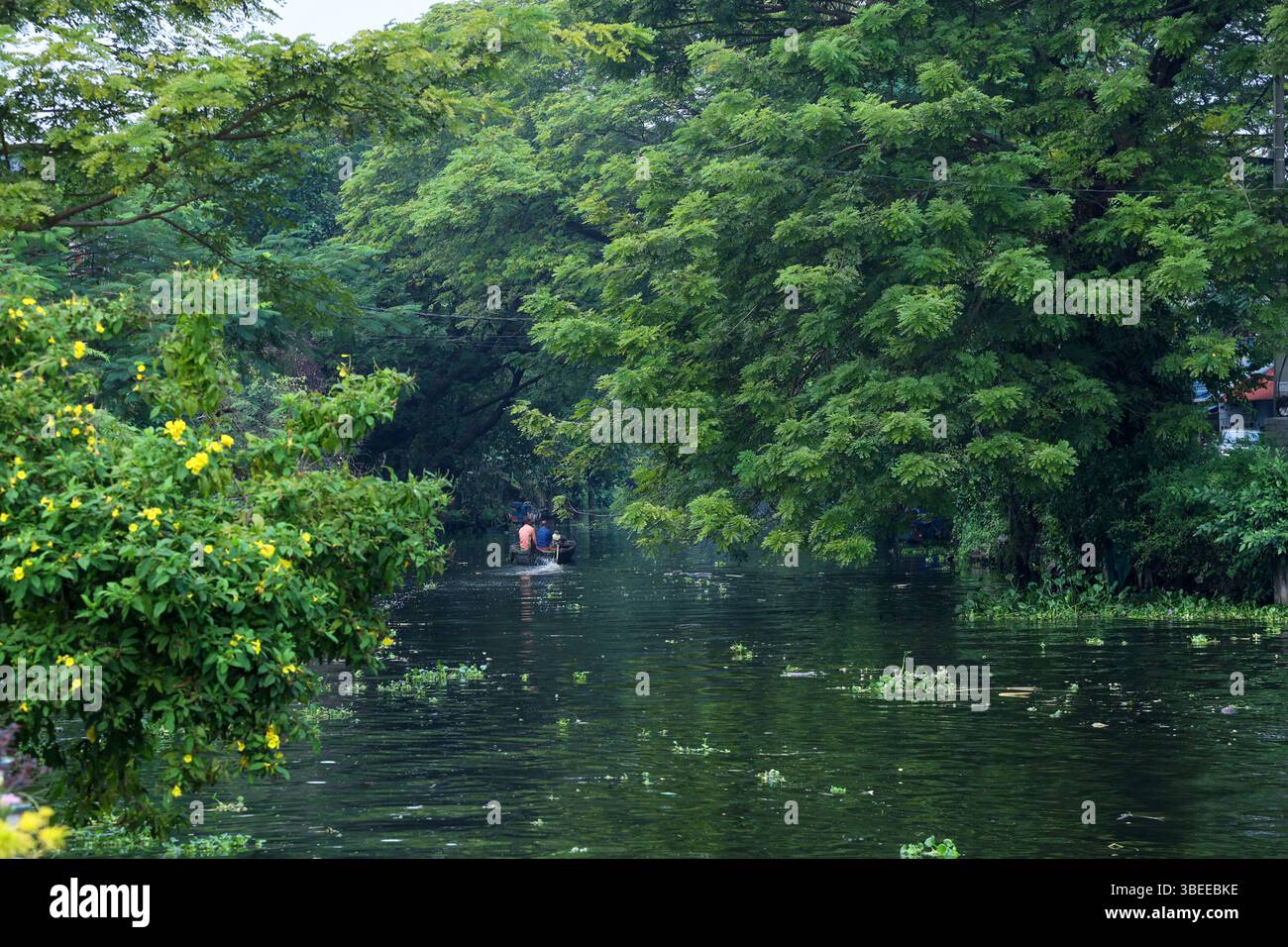 Alappuzha, Alleppey, Venice of the East, backwaters, waterways, canals ...