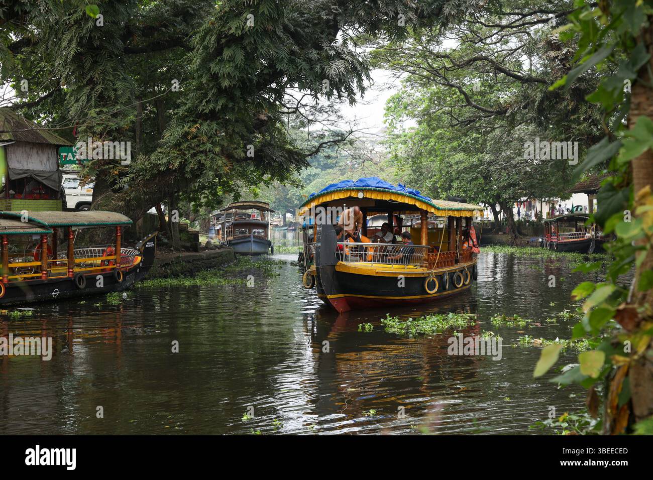 Alappuzha, Alleppey, Venice of the East, backwaters, waterways, canals ...