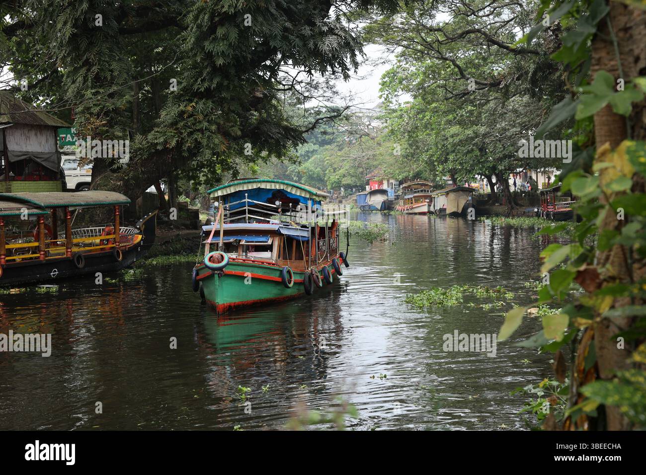 Alappuzha, Alleppey, Venice of the East, backwaters, waterways, canals ...