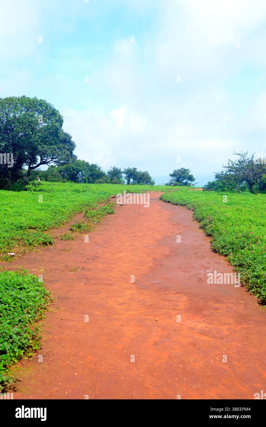 The Kas Plateau Reserved Forest, also known as the Kaas Pathar, is a ...