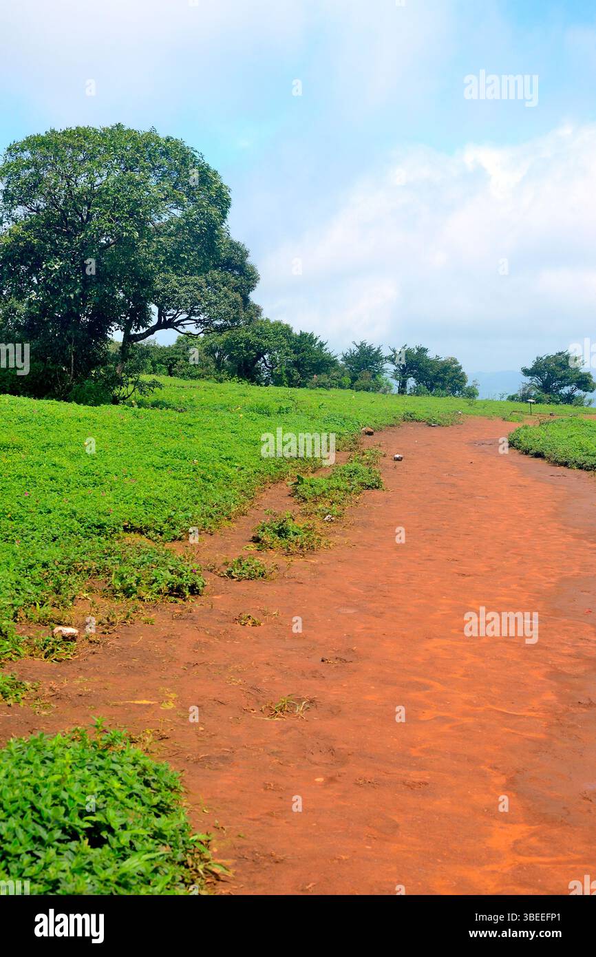 The Kas Plateau Reserved Forest, also known as the Kaas Pathar, is a ...