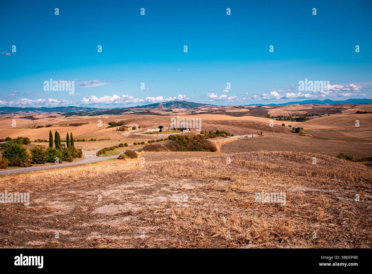 Wide open Tuscan fields under soft sunlight, gentle hills and earthy ...