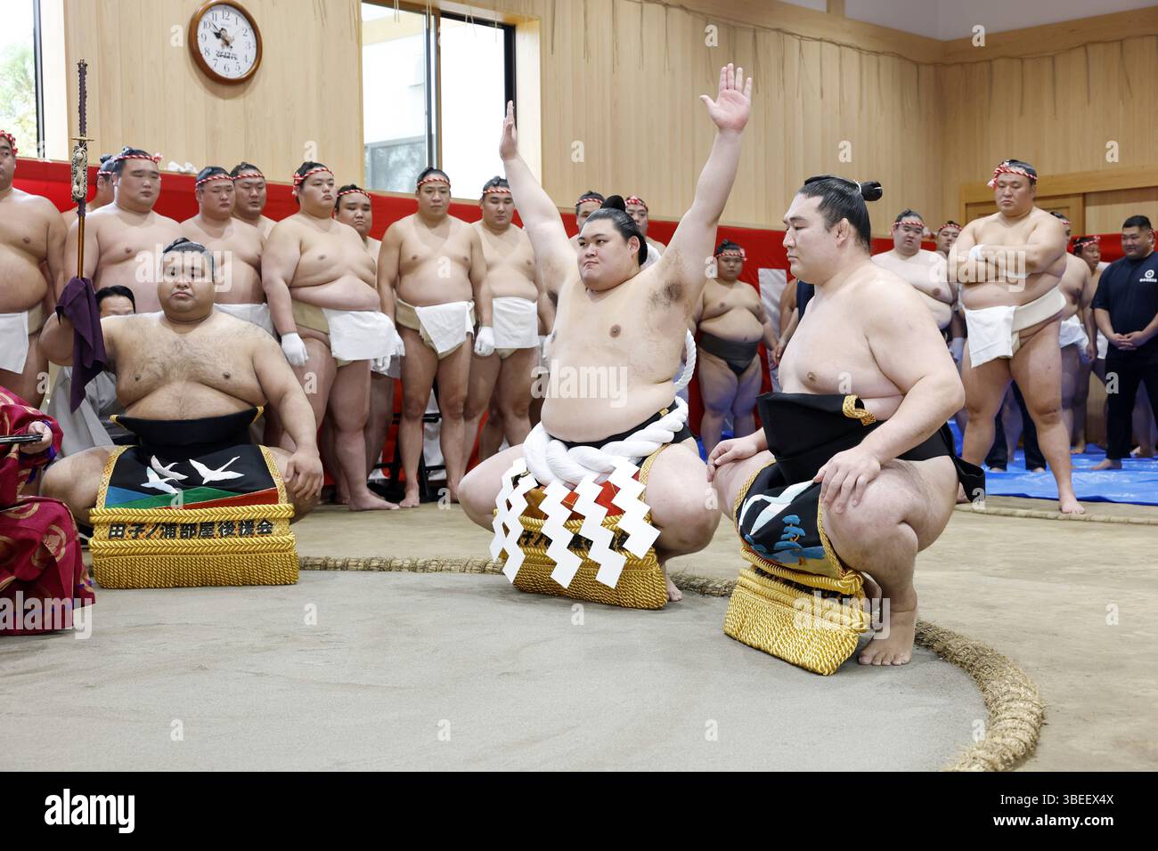 New Japanese Yokozuna Onosato tries a belt for upcoming ceremony at ...