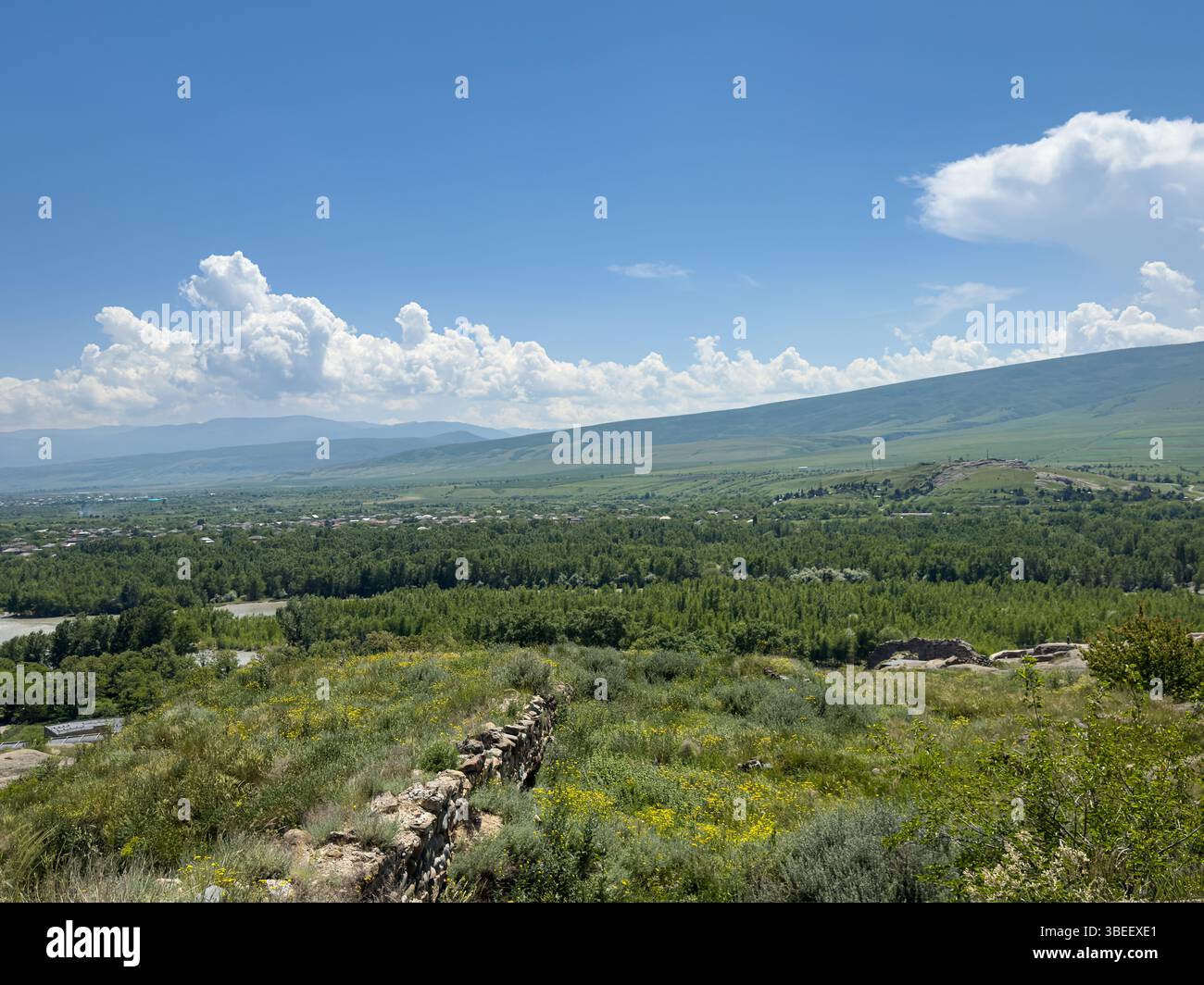 Lush forested valley distant hills hi-res stock photography and images ...