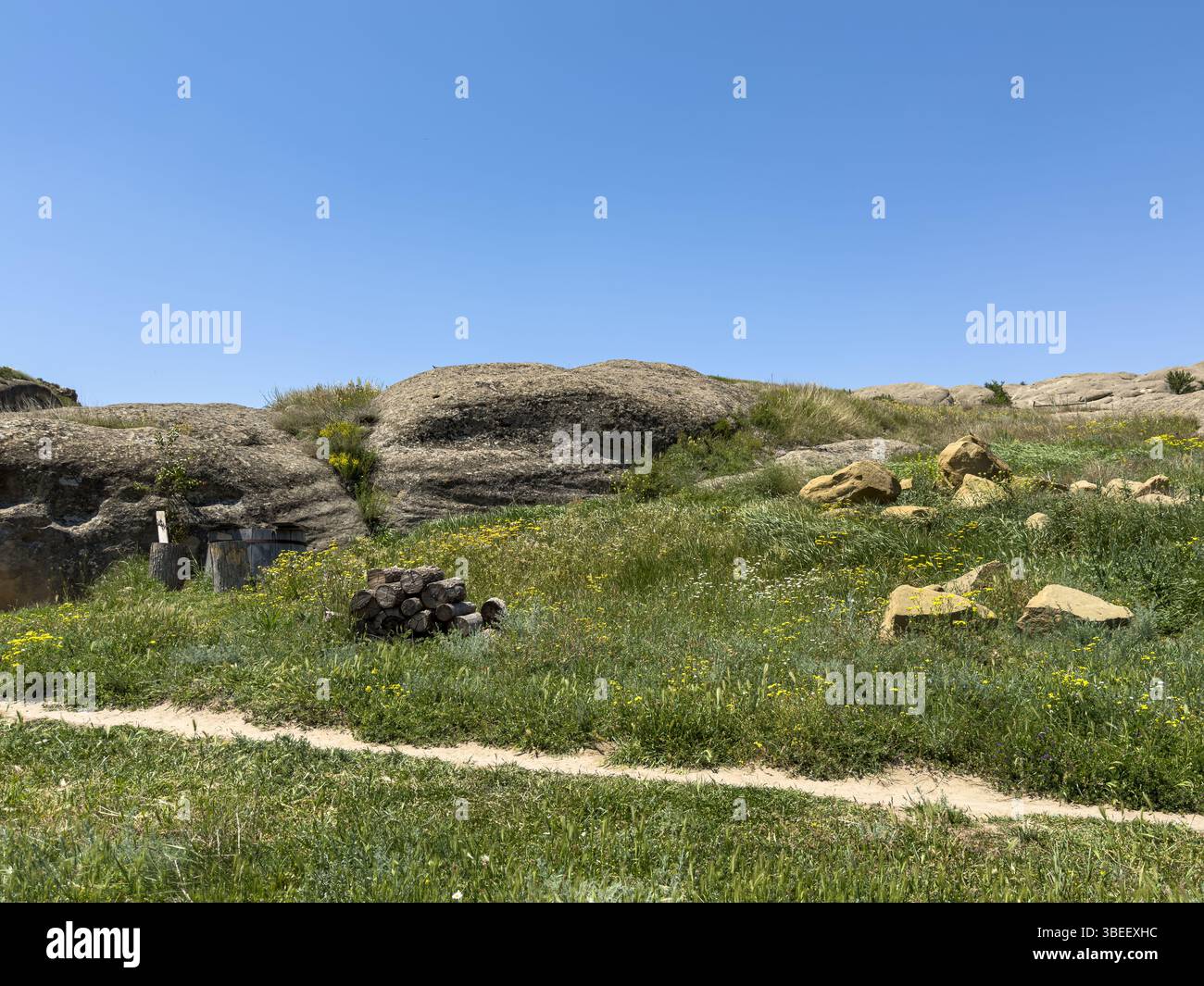 Rocks and grassy field with wildflowers, small wooden structure and ...