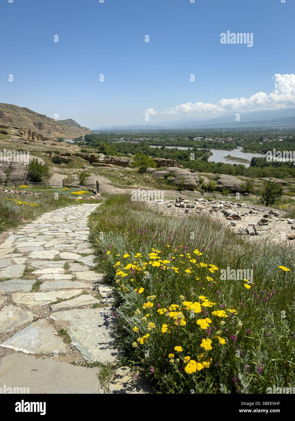 Stone pathway with wildflowers leading to scenic valley with river ...