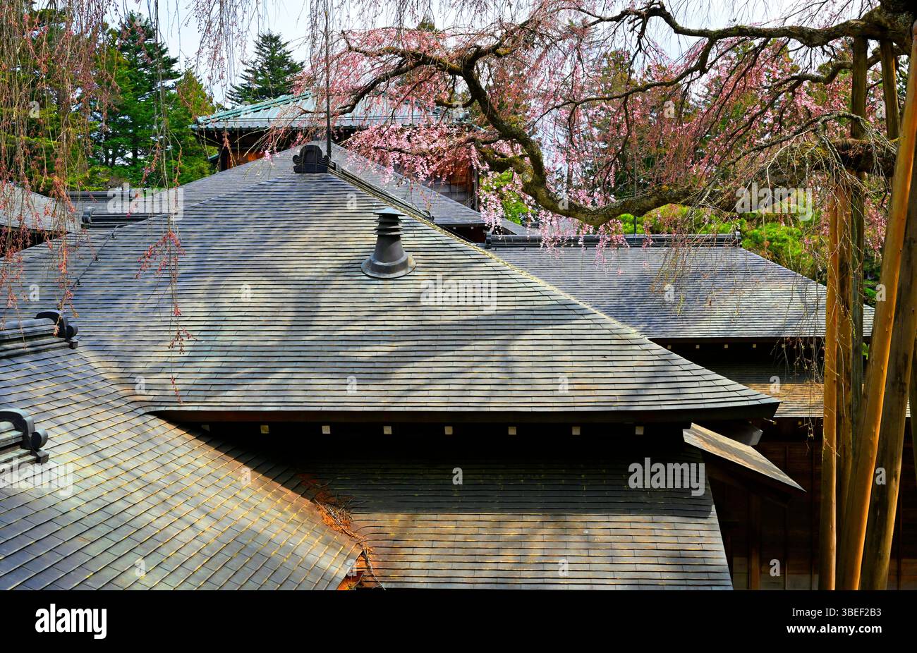 Tamozawa Imperial villa, Nikko, Japan, Asia Stock Photo - Alamy