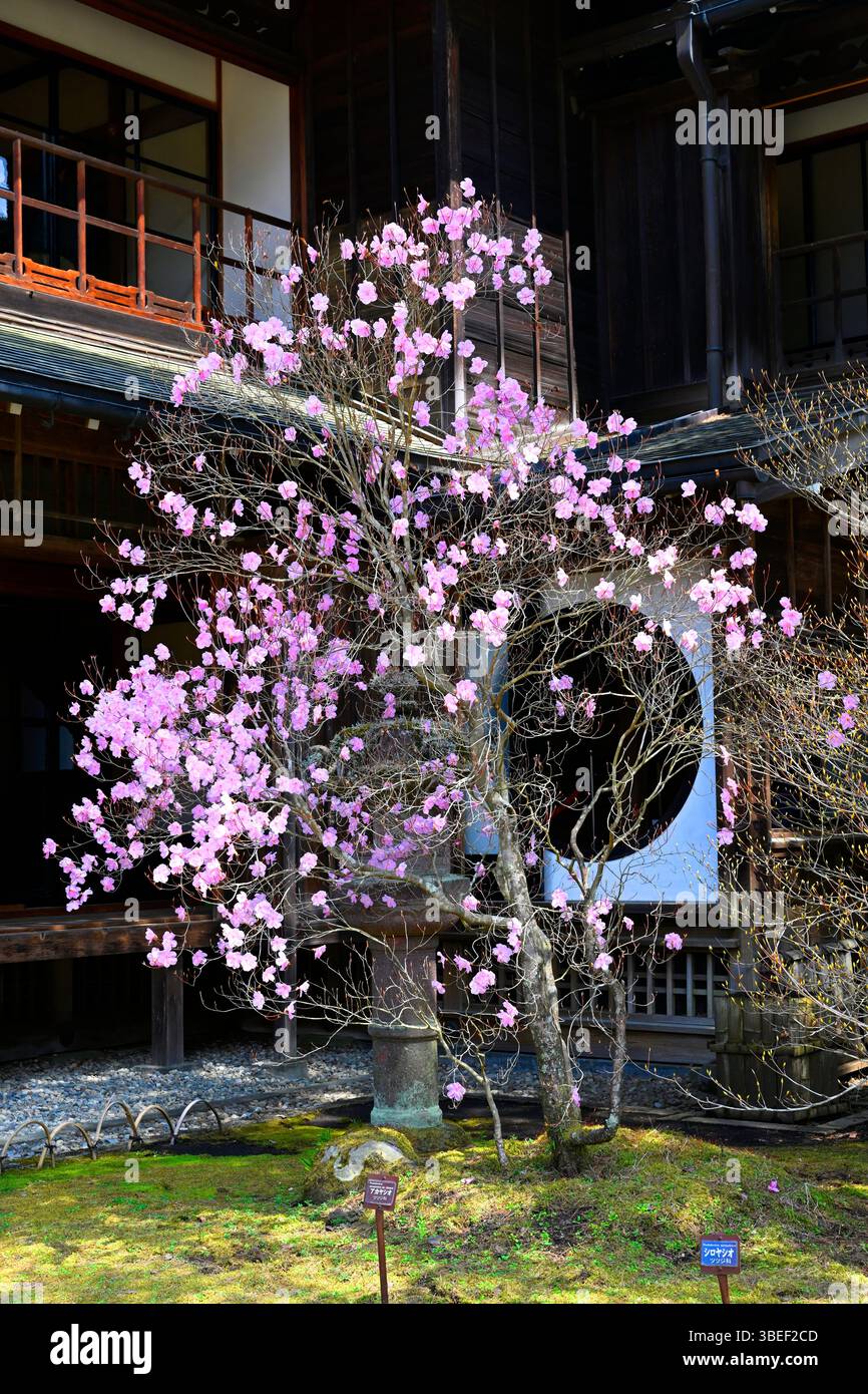 Tamozawa Imperial villa, Nikko, Japan, Asia Stock Photo - Alamy