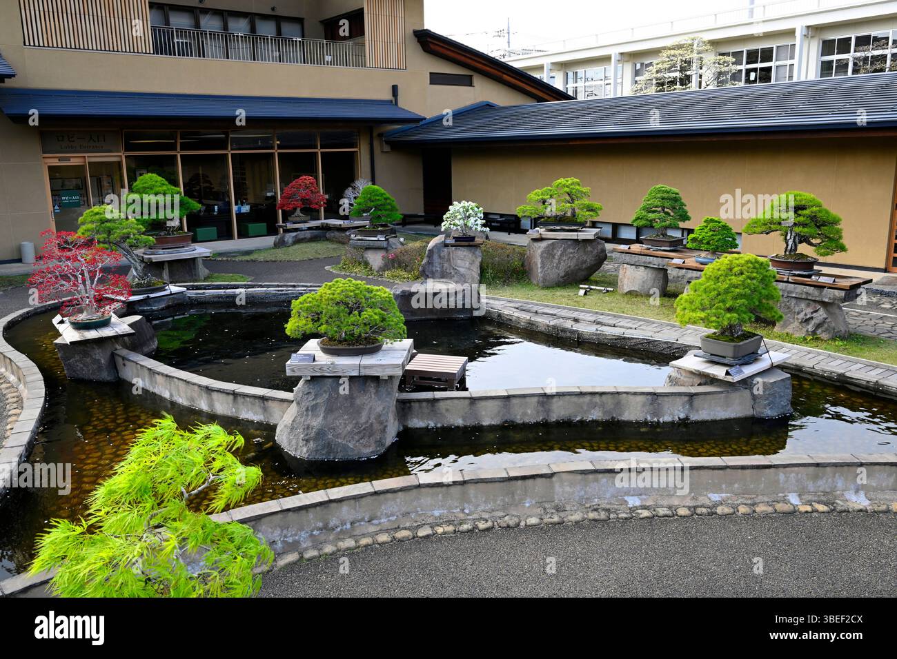 The Omiya Bonsai Art Museum,Saitama city,Japan Stock Photo - Alamy
