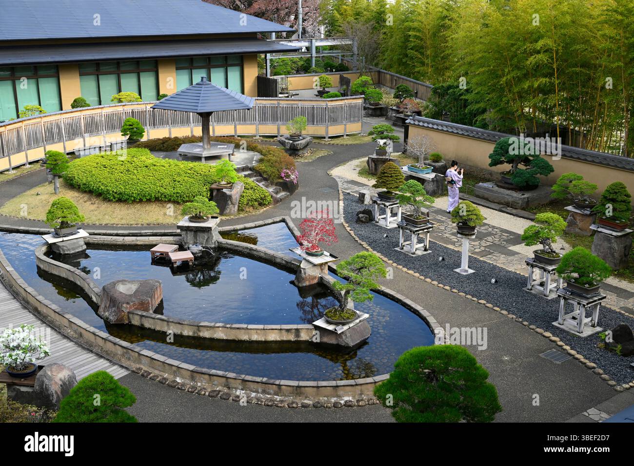 The Omiya Bonsai Art Museum,Saitama city,Japan Stock Photo - Alamy