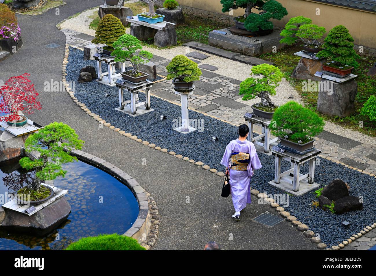 The Omiya Bonsai Art Museum,Saitama city,Japan Stock Photo - Alamy