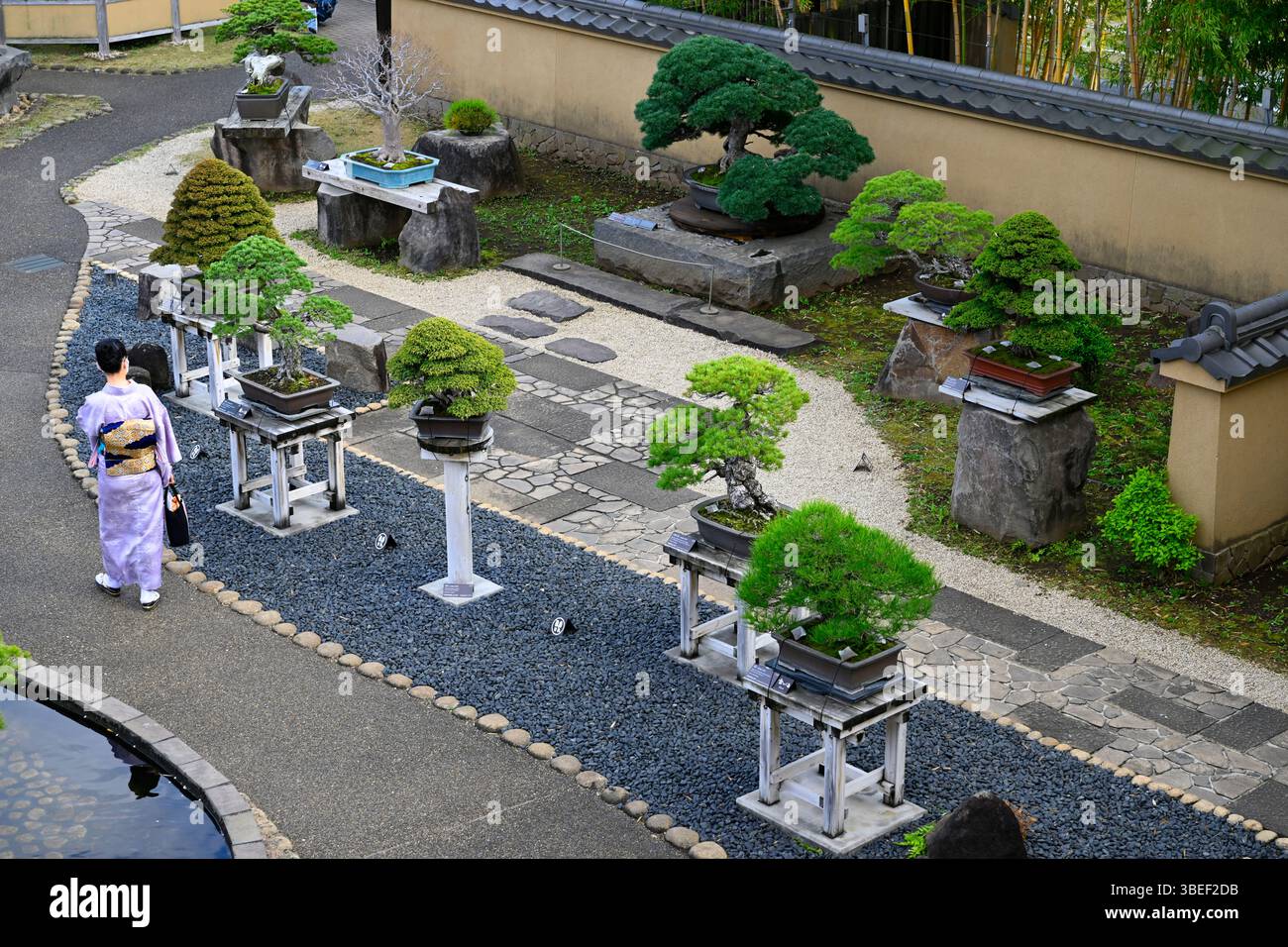 The Omiya Bonsai Art Museum,Saitama city,Japan Stock Photo - Alamy