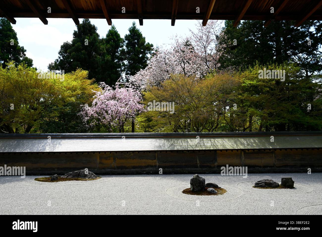 Ryoan-ji temple zen rock garden in Kyoto, Honshu, Japan,Asia Stock ...