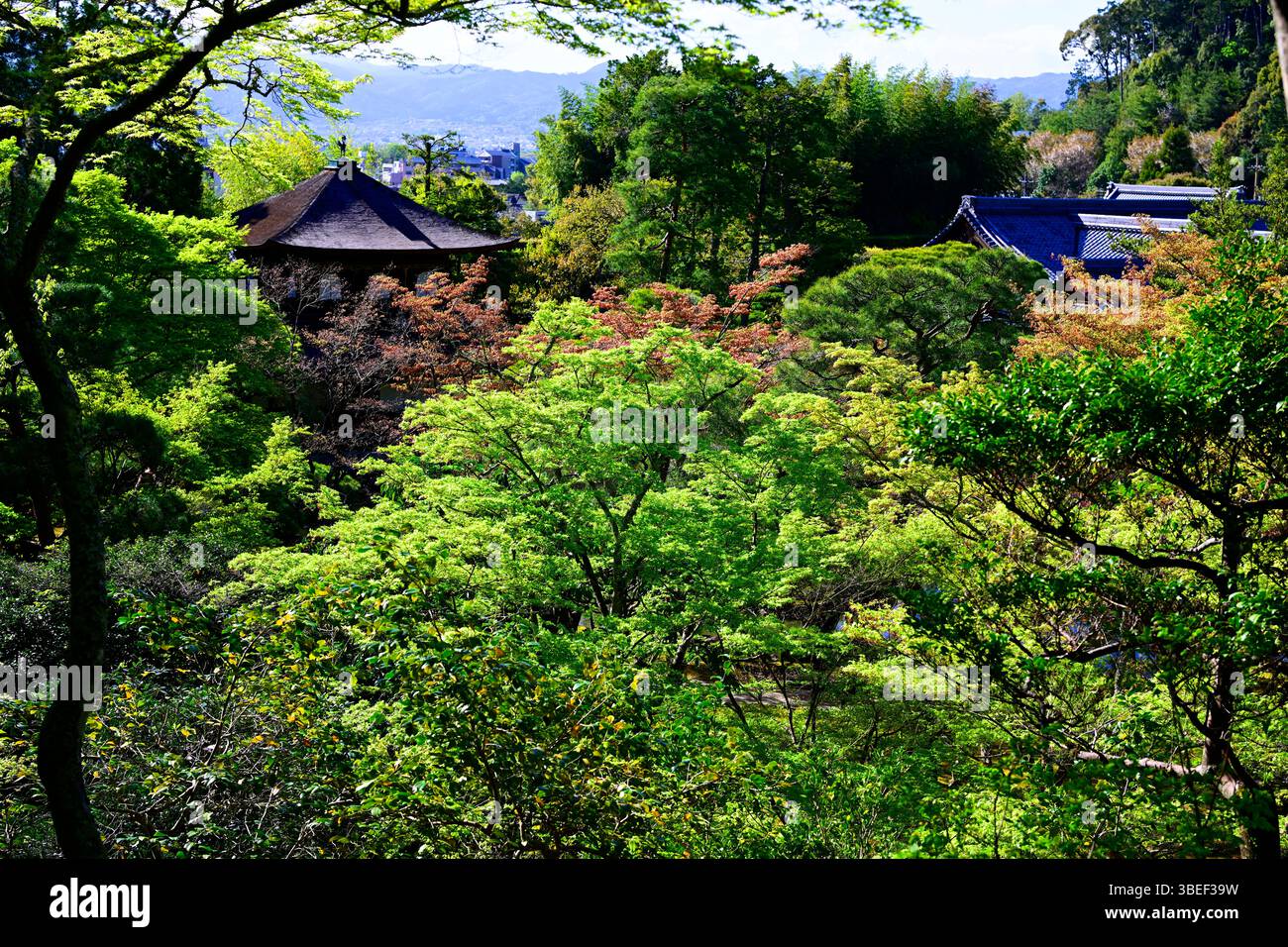 Ginkakuji temple zen temple of the Silver Pavilion Jisho-ji, Kyoto ...