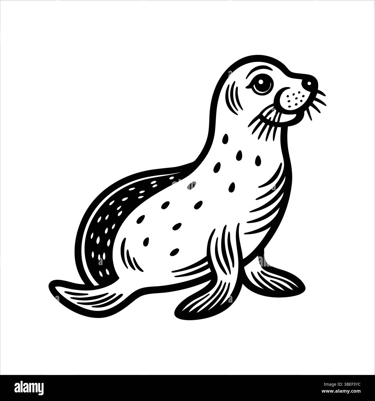 Cartoon seal svg hi-res stock photography and images - Alamy