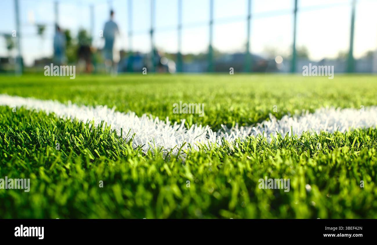 artificial green turf with white painted sports field boundary lines ...