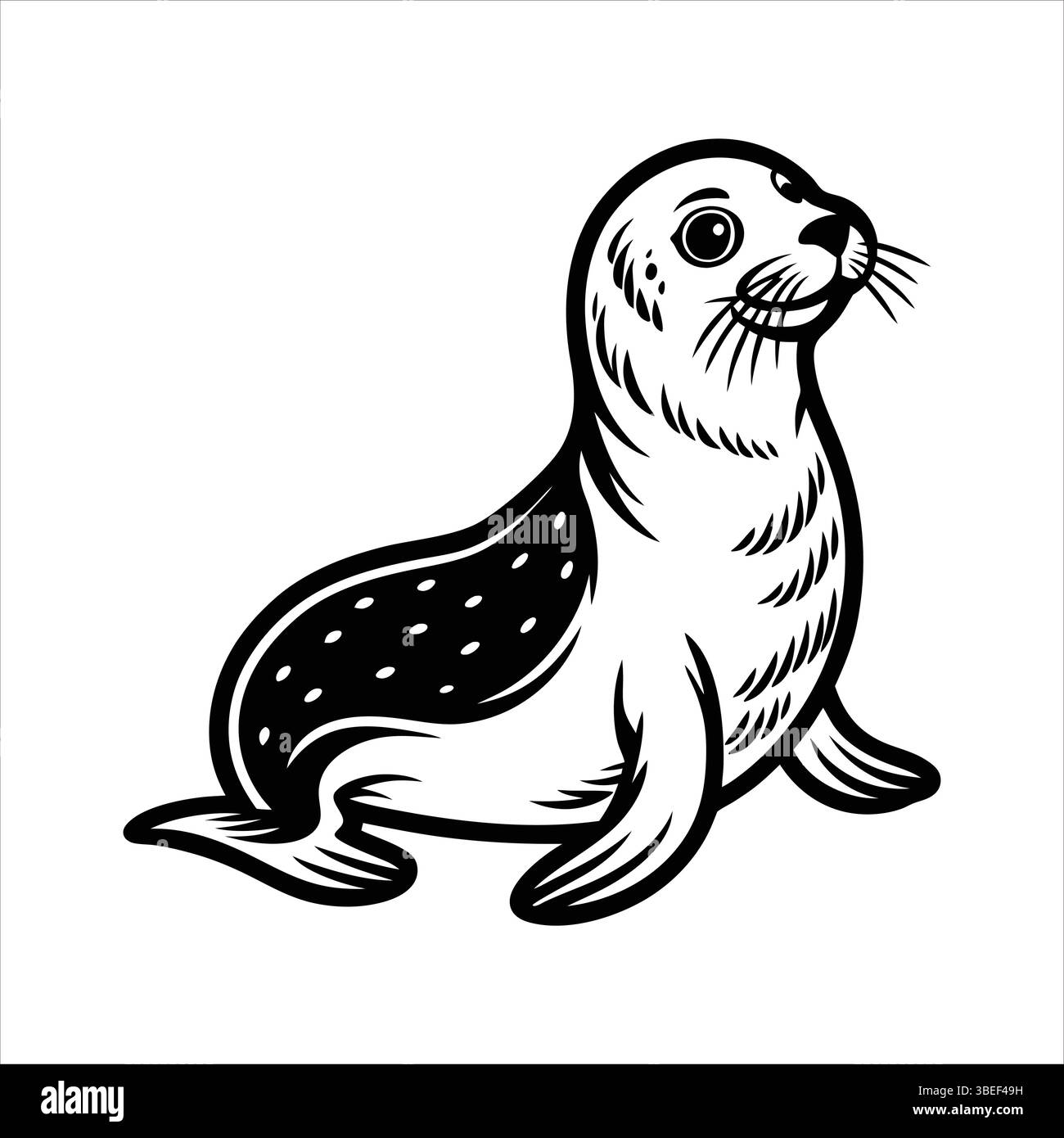 Adorable seal svg hi-res stock photography and images - Alamy