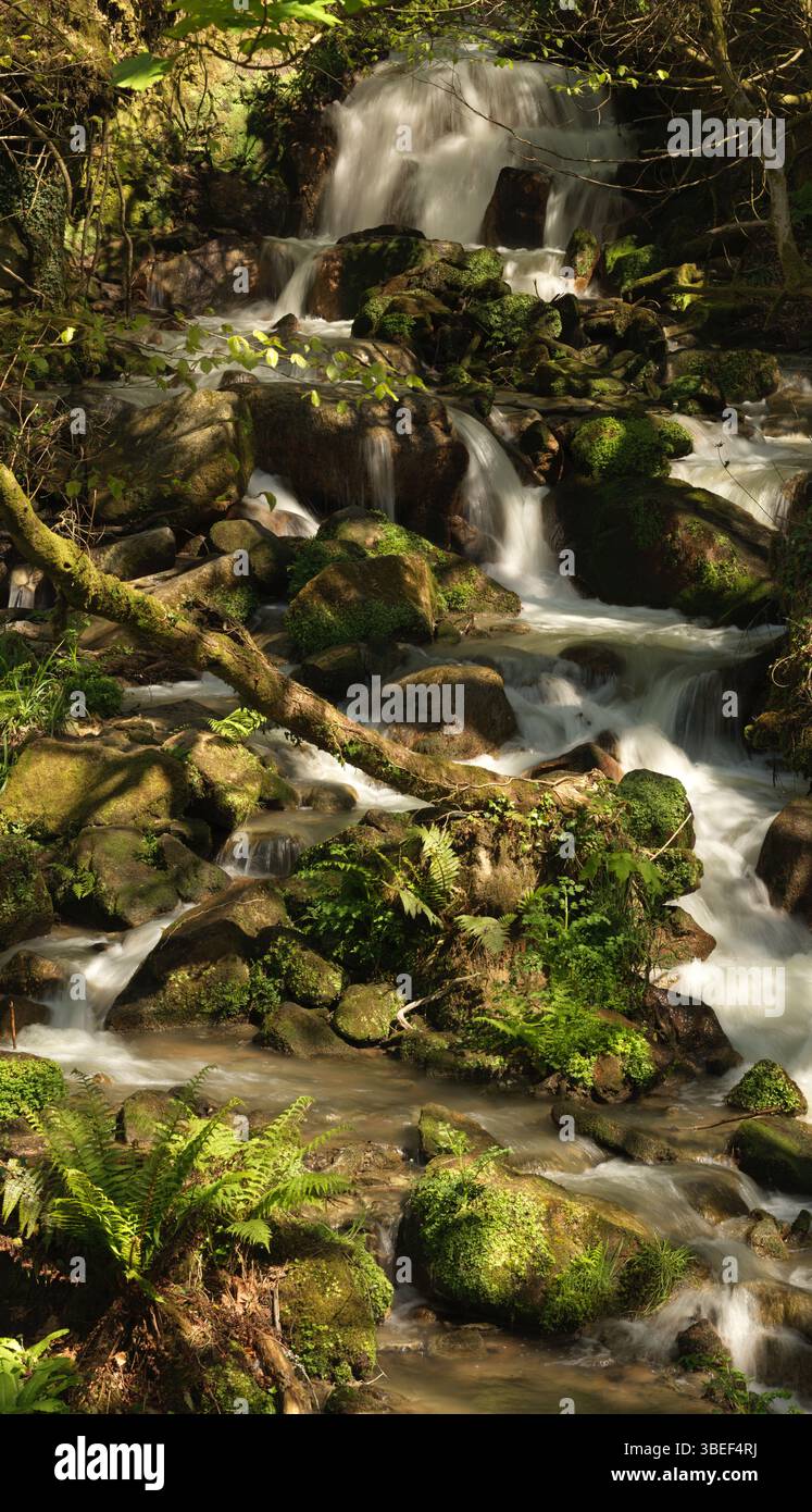 Tregargus Valley Cascade Stock Photo - Alamy