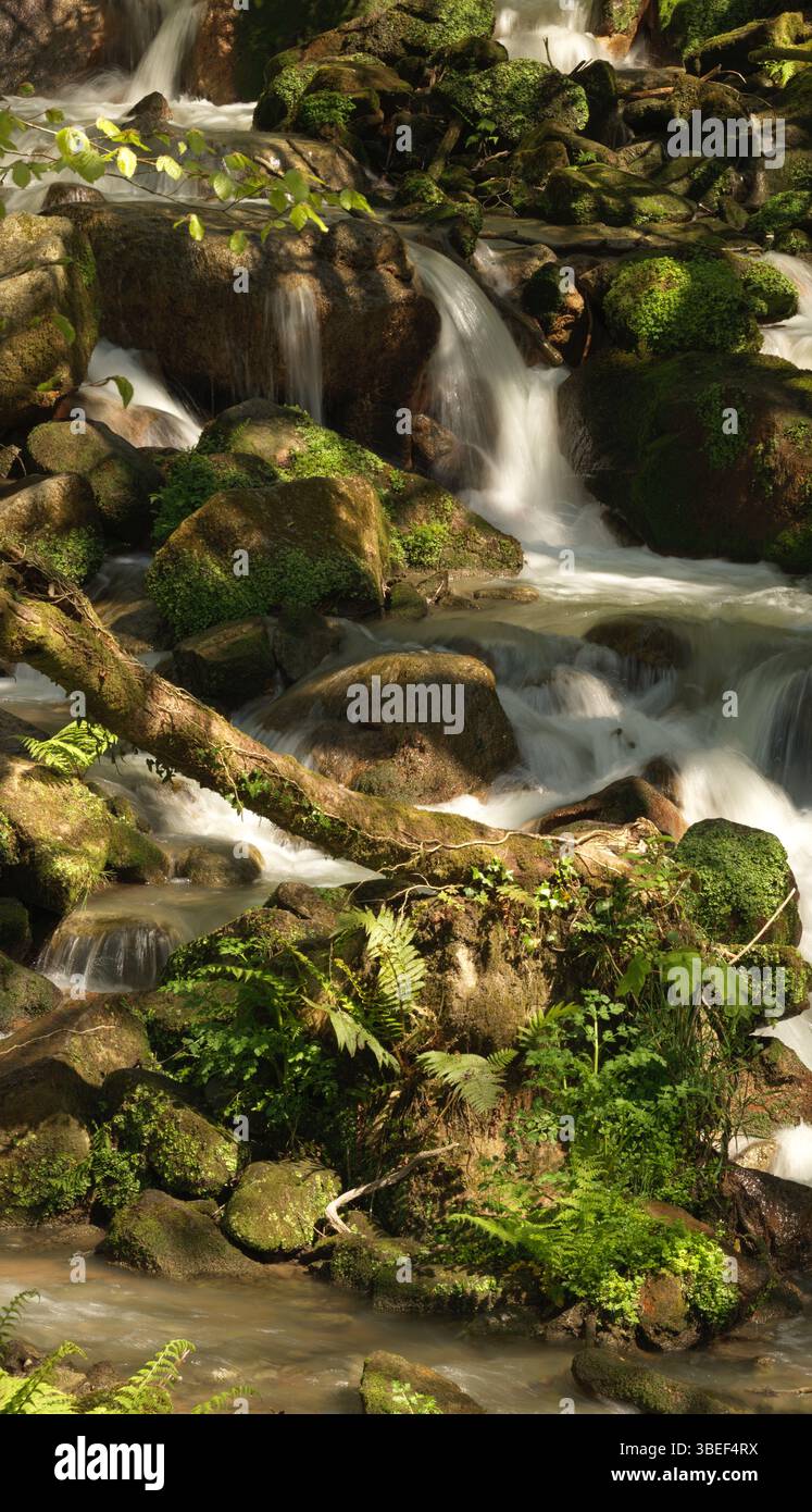Tregargus hi-res stock photography and images - Alamy