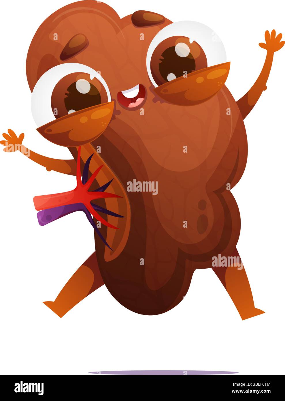 Kidney character vector vectors Stock Vector Images - Alamy