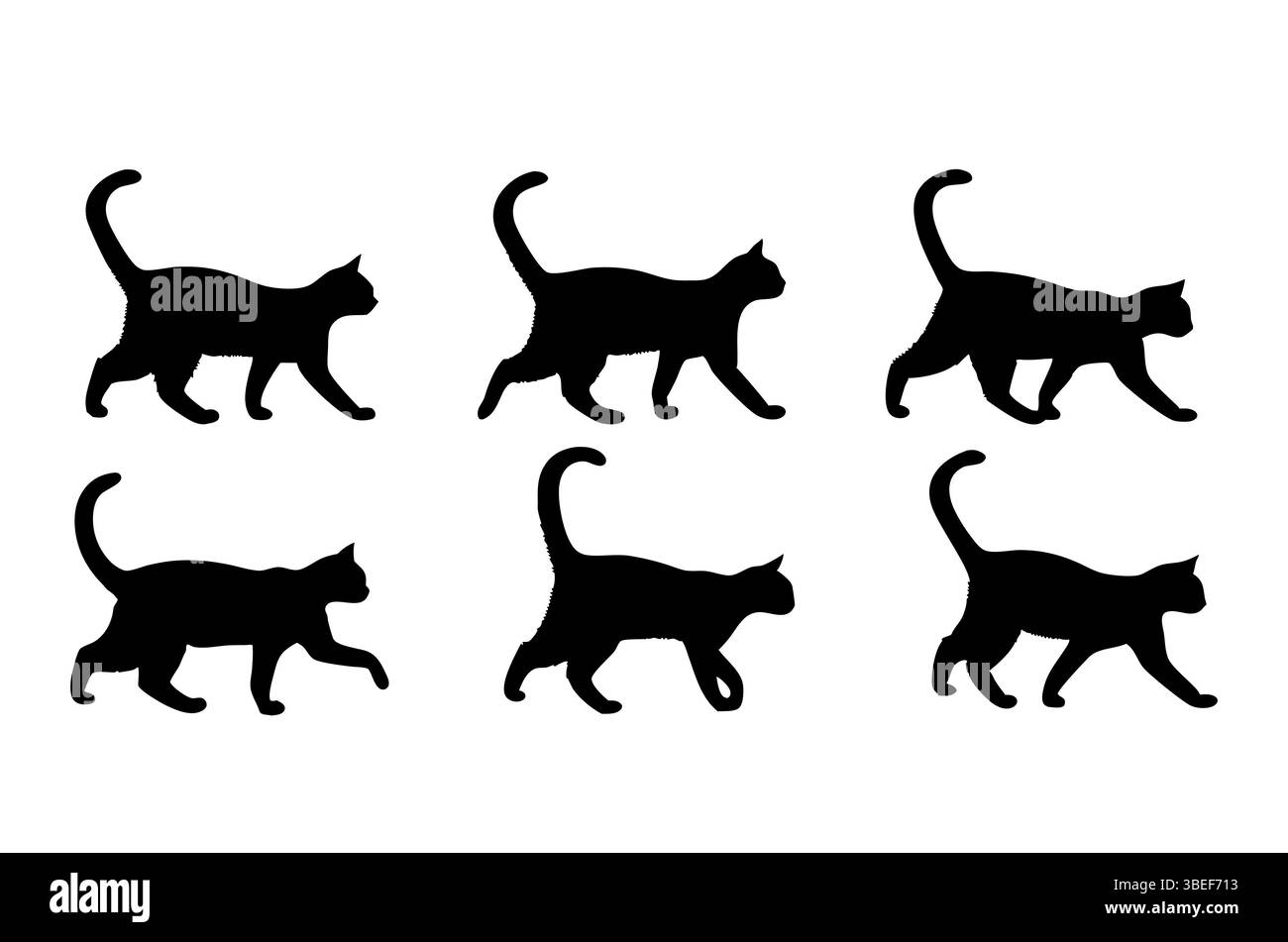 Cat Walking Poses Silhouettes Vector – Graceful Feline Outline Clipart ...