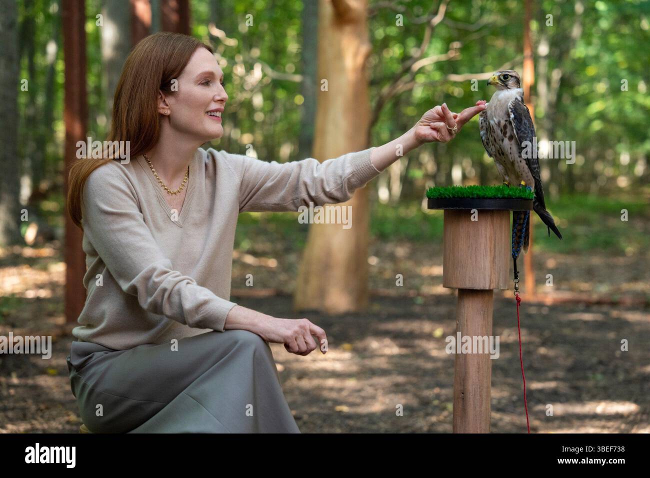 JULIANNE MOORE in SIRENS (2025), directed by NICOLE KASSELL. Credit ...