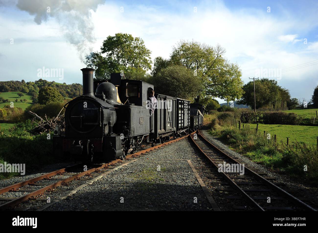 "The Earl" at Cyfronydd Stock Photo - Alamy