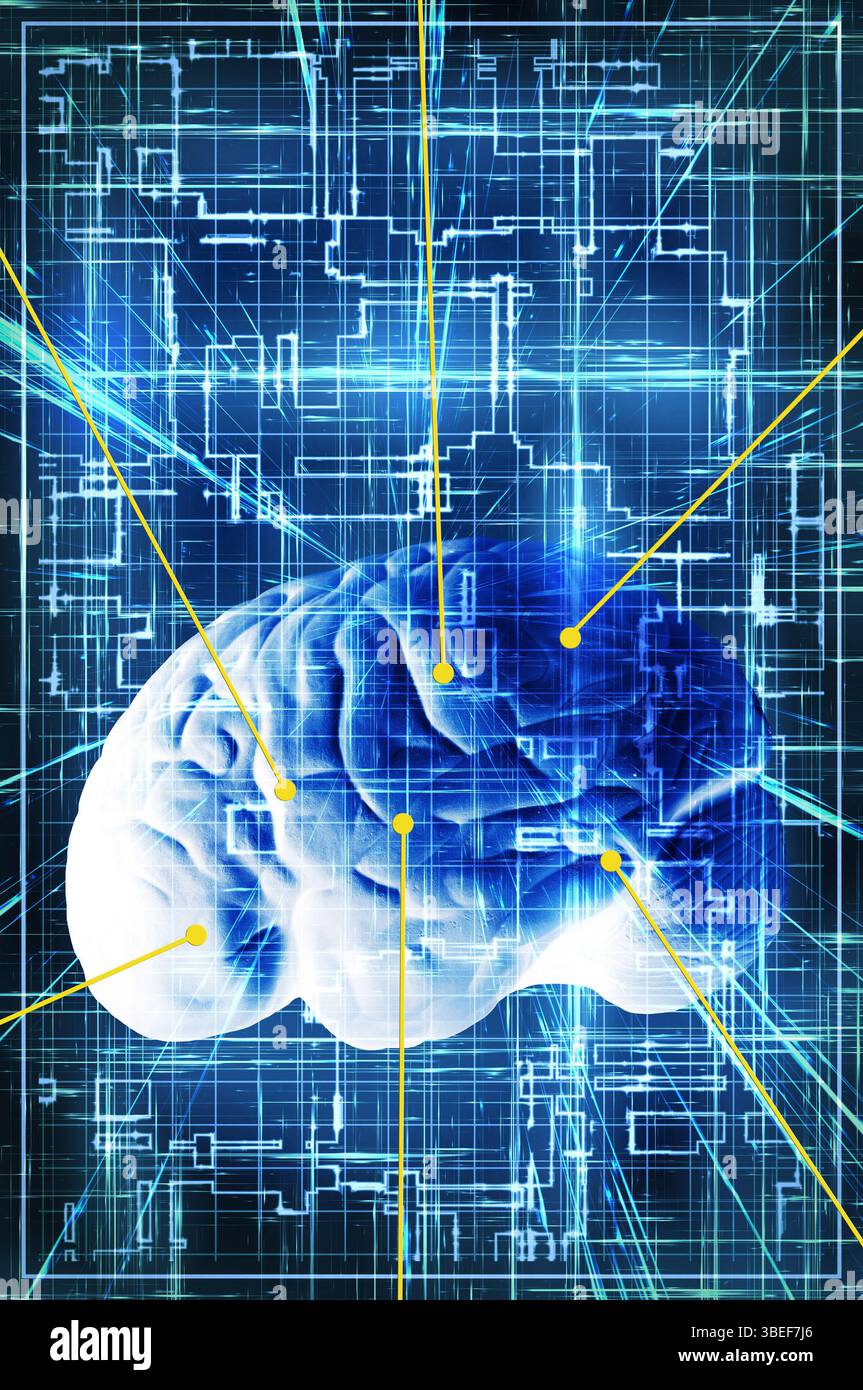 Human brain connections hi-res stock photography and images - Alamy