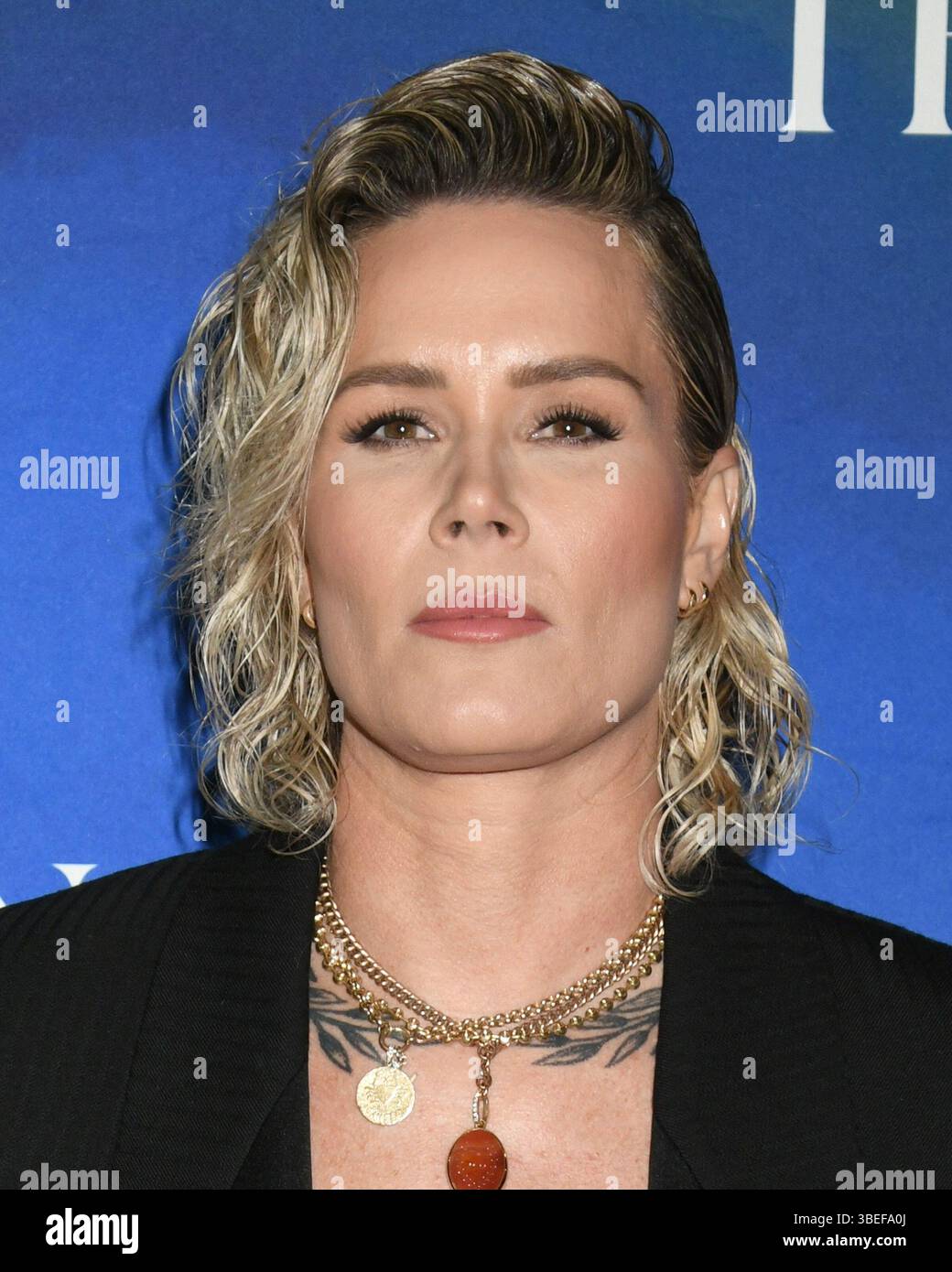 Ny. 28th May, 2025. Ashlyn Harris at arrivals for American Ballet ...