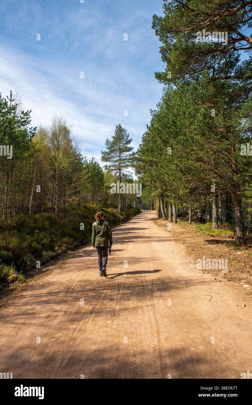 Loch Morlich with its sandy beach and forest trails—an iconic Highland ...