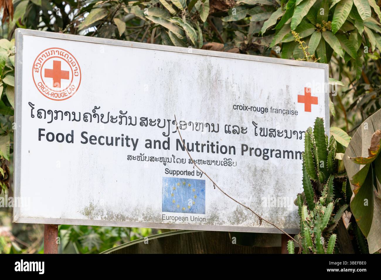 Red cross food programme hi-res stock photography and images - Alamy