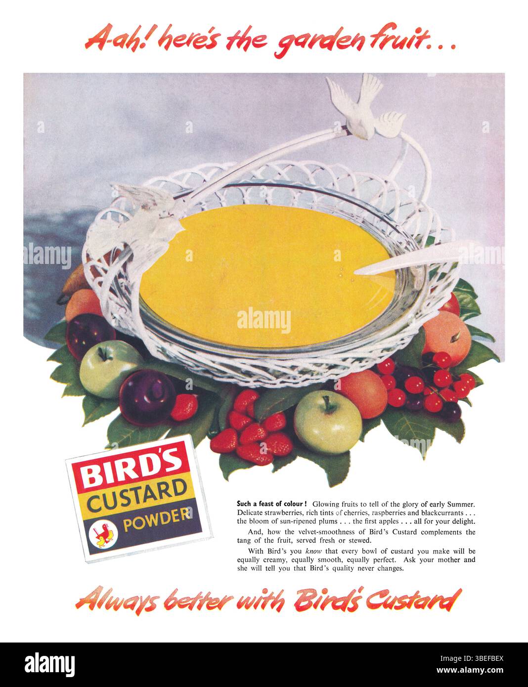 1950 British food advertisement for Bird's Custard Powder Stock Photo ...