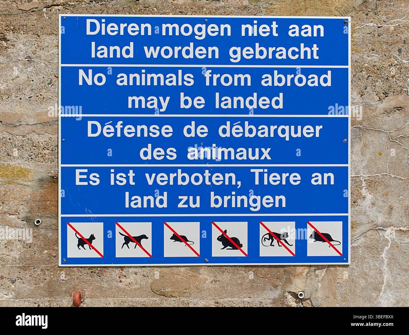Macduff Aberdeenshire Scotland blue sign on the quay wall landing of ...