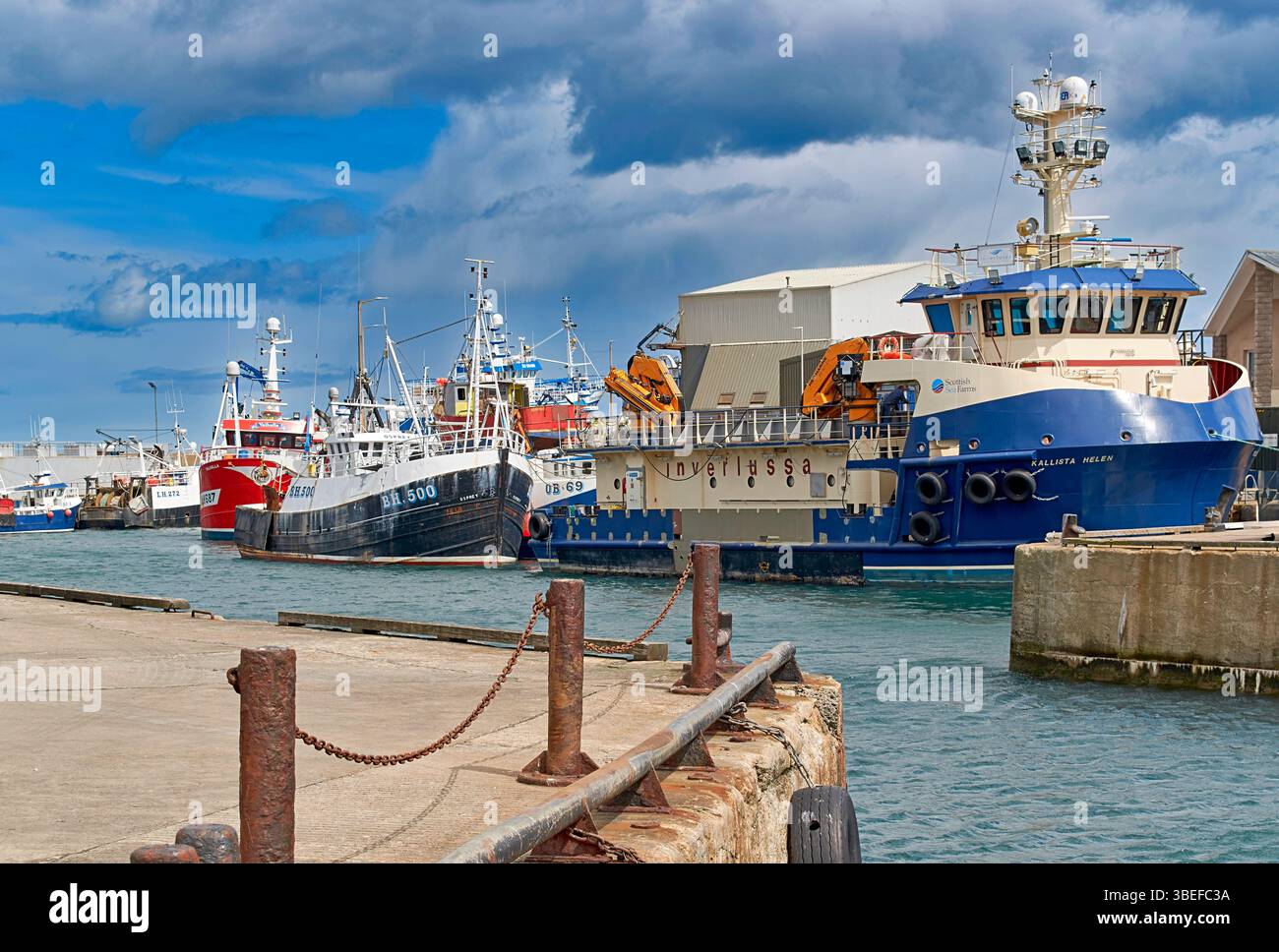 Macduff Aberdeenshire Scotland scallopers and trawlers moored or ...