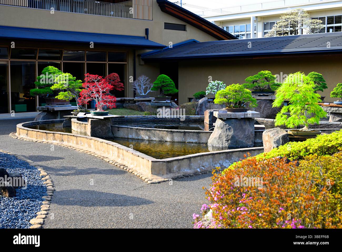 The Omiya Bonsai Art Museum,Saitama, Japan,Asia Stock Photo - Alamy