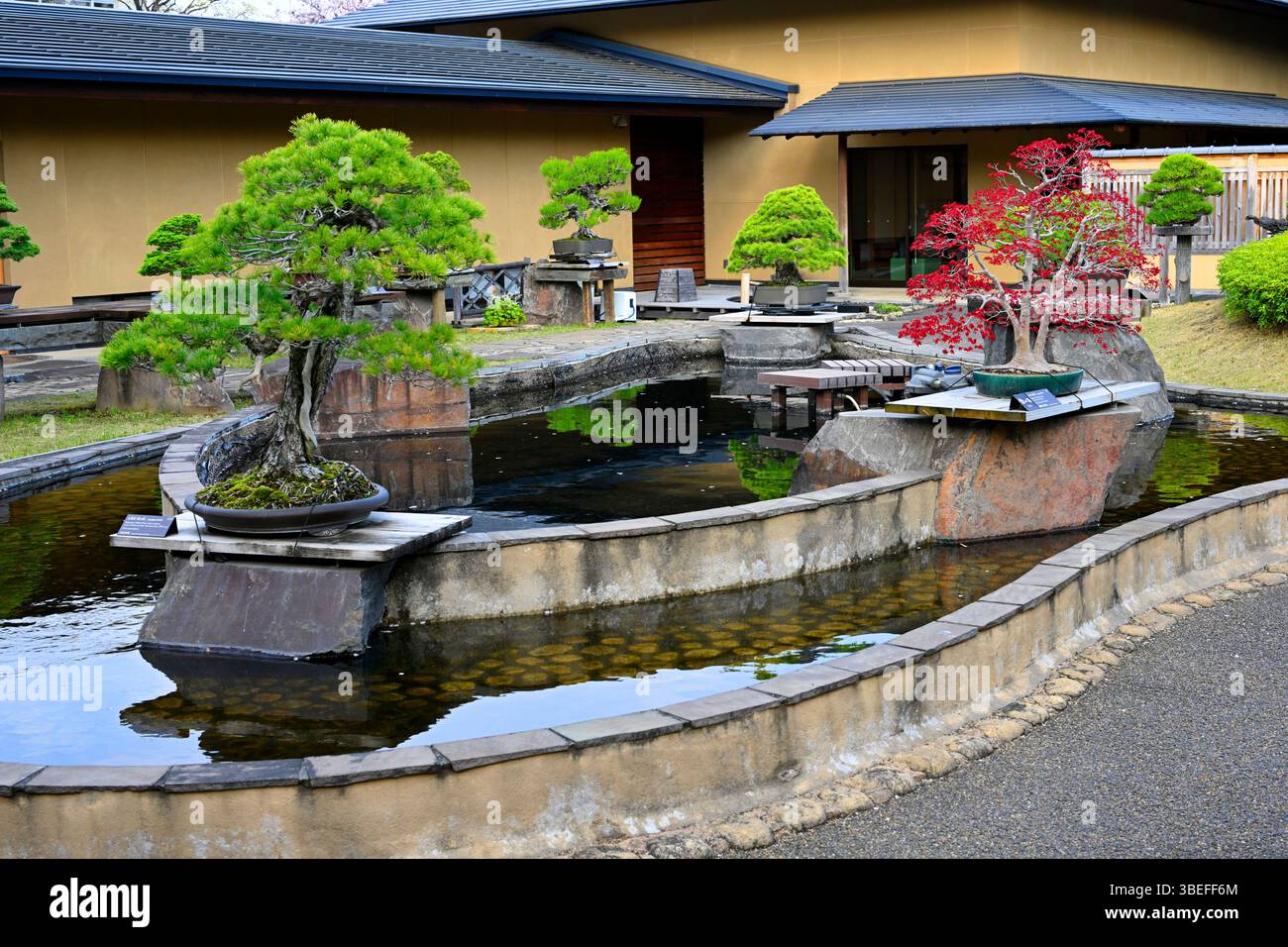 The Omiya Bonsai Art Museum,Saitama, Japan,Asia Stock Photo - Alamy