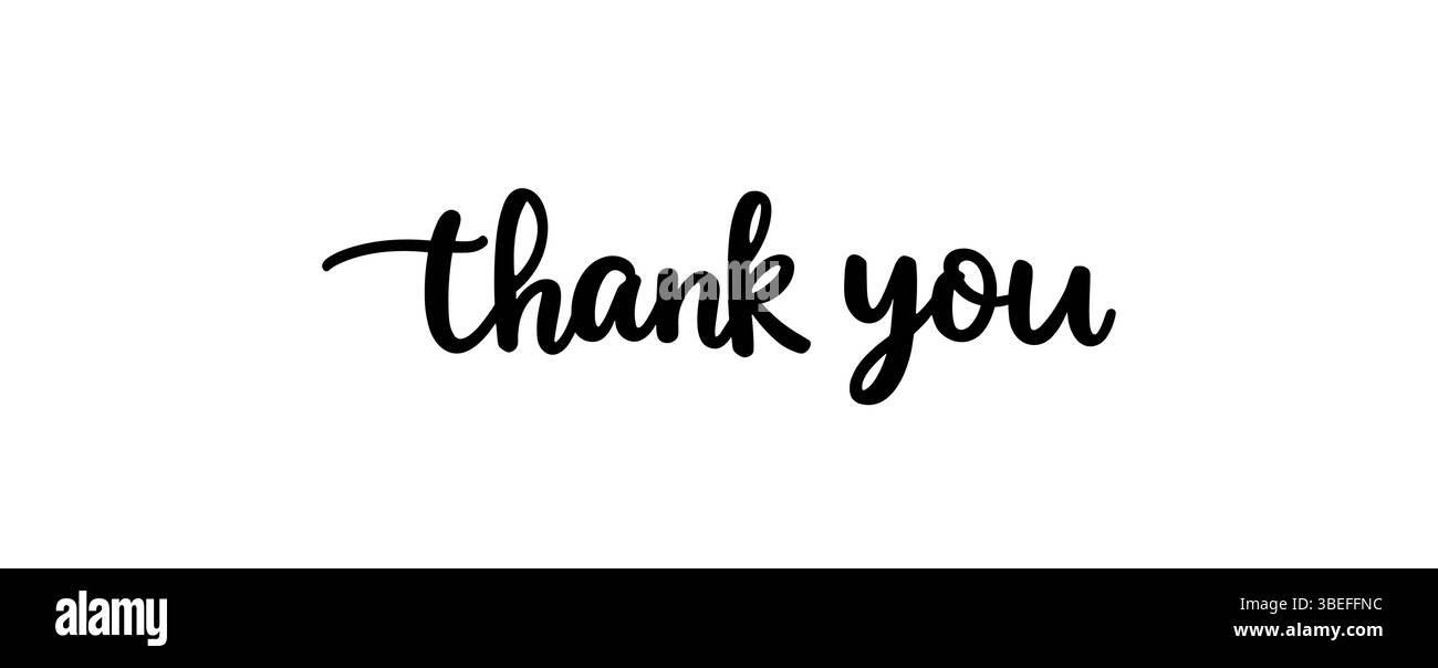 Thank you text background vector calligraphy script font. Thank you ...