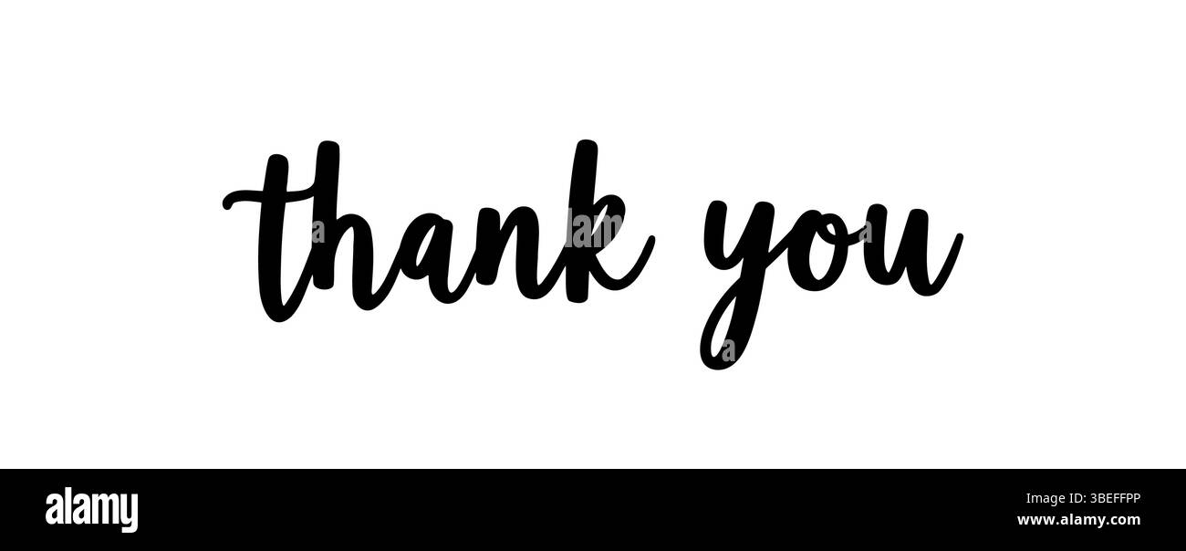 Thank you text background vector calligraphy script font. Thank you ...
