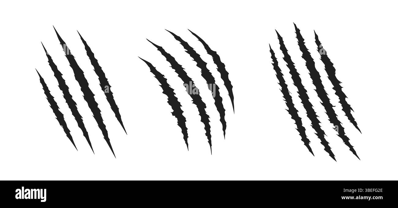 Scratch claw mark tiger bear paw icon. Animal lion slash claw vector ...