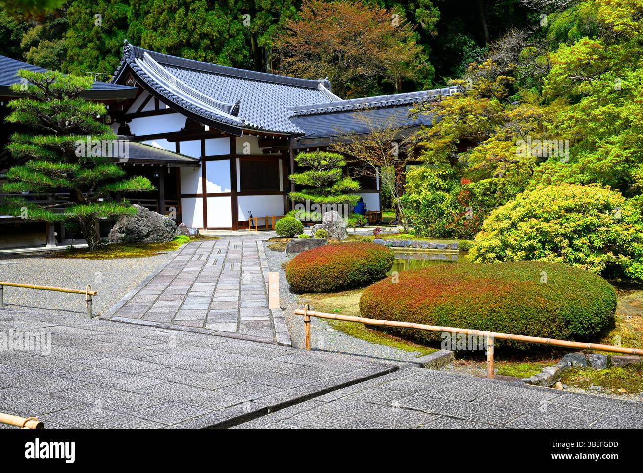 Saiho-ji temple,Koke-dera, the Moss temple,Kyoto,Japan Stock Photo - Alamy