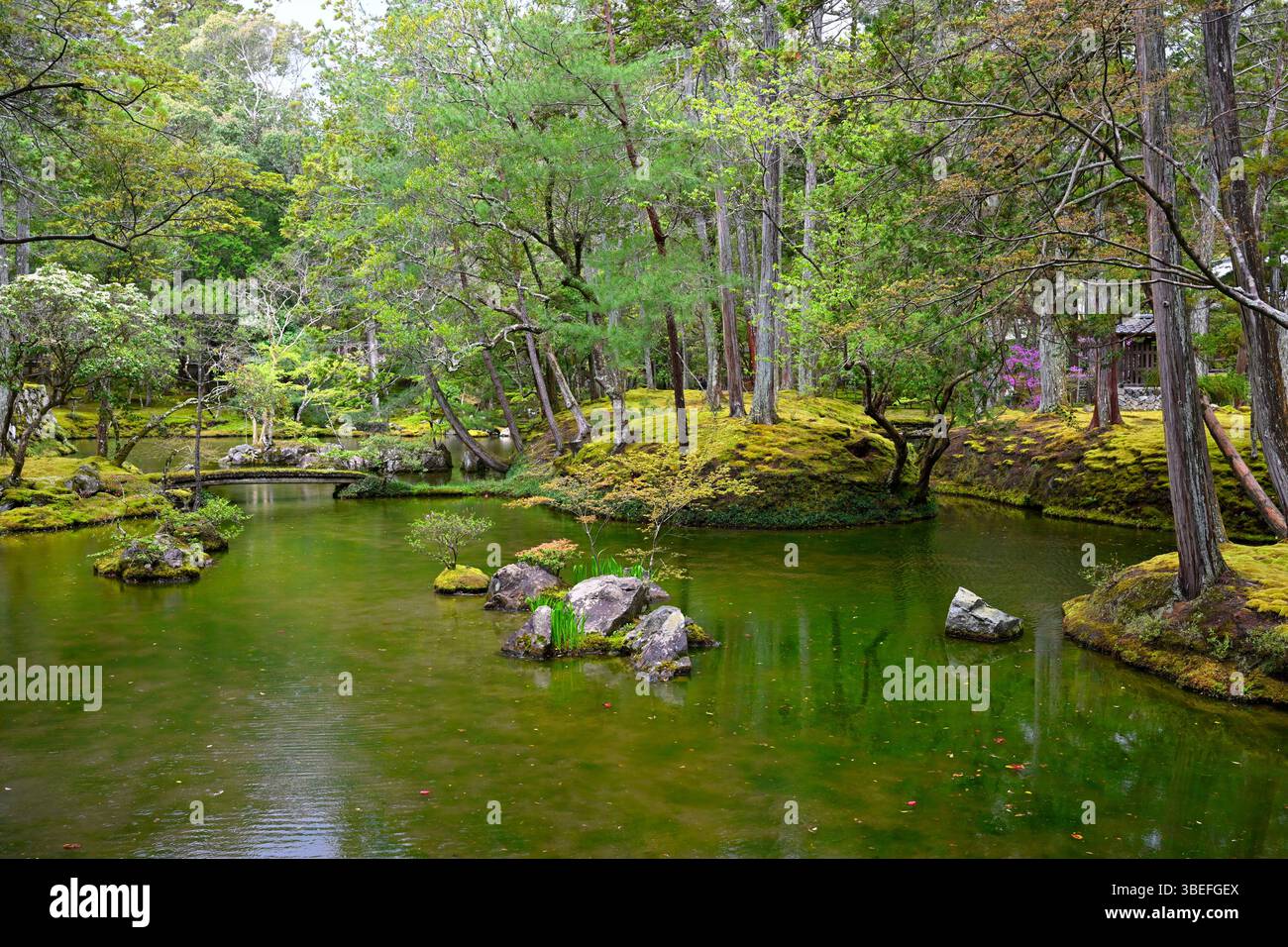 Saiho-ji temple,Koke-dera, the Moss temple,Kyoto,Japan Stock Photo - Alamy