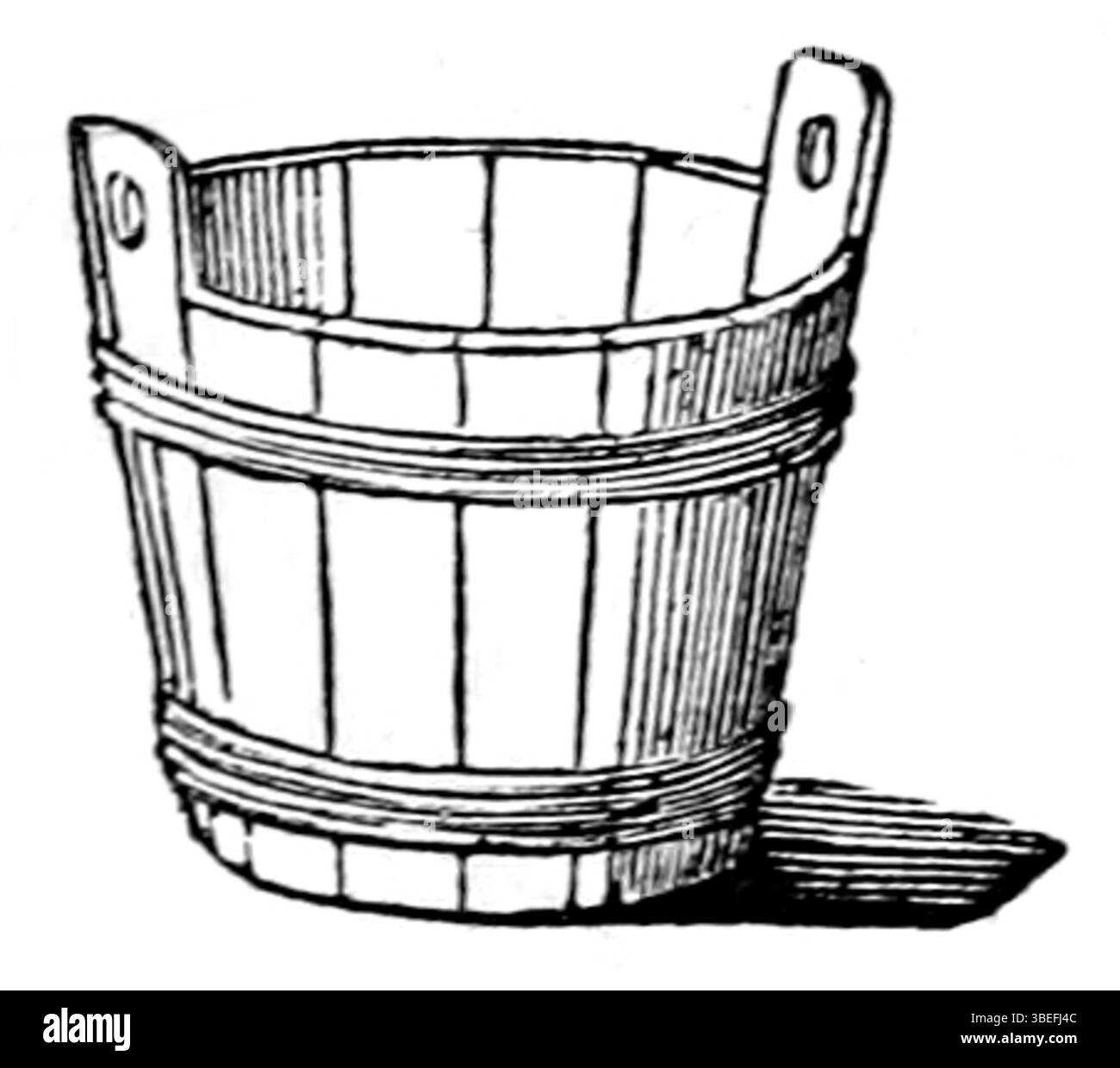 19th century nature study Cut Out Stock Images & Pictures - Alamy