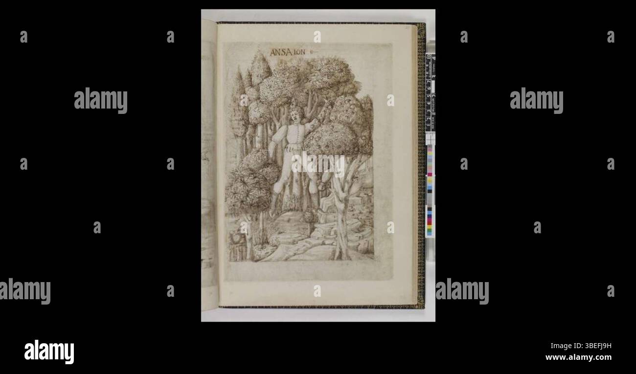 The British Museum’s Florentine Picture-Chronicle features drawings ...